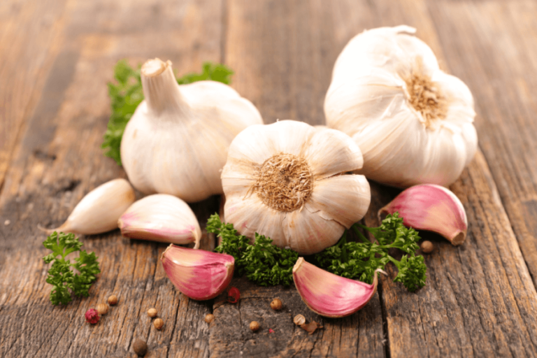 Garlic Allergy - Understanding, Diagnosis, and Management